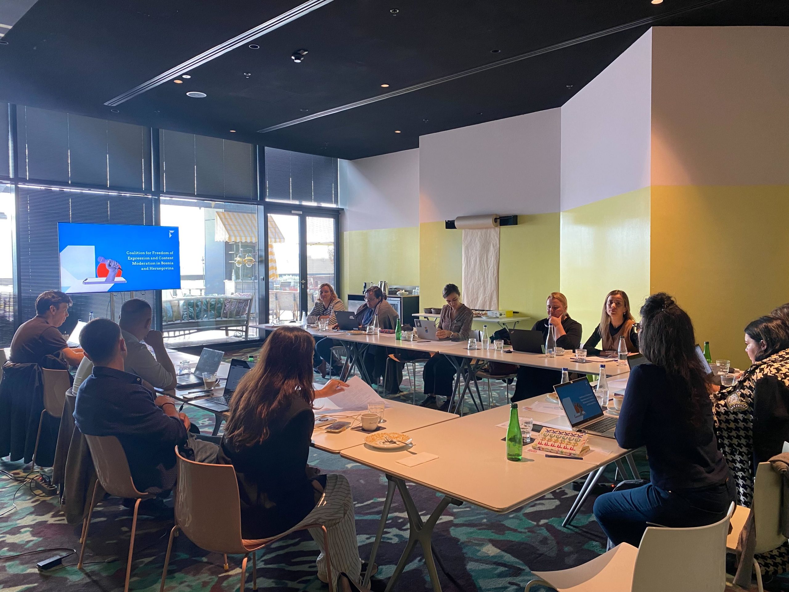 BIRN Holds Regional Meeting with GIF Local Partners - BIRN