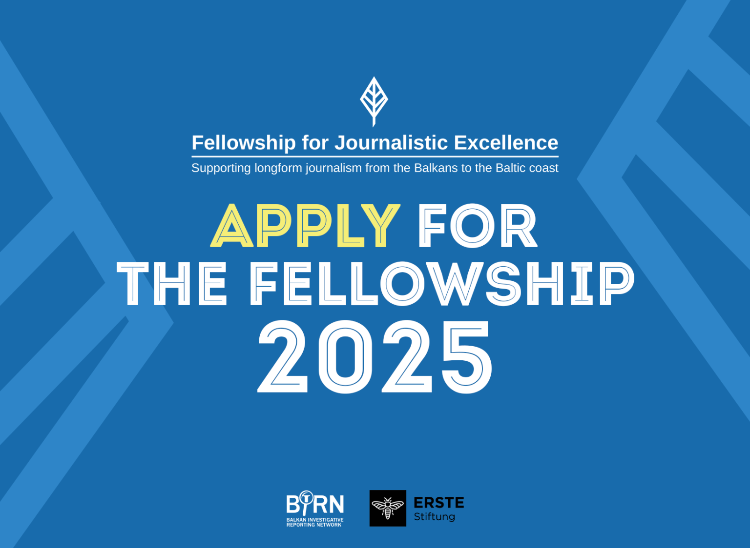Call for Applications: Fellowship for Journalistic Excellence 2025 - BIRN